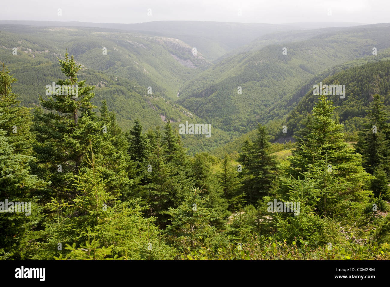 The Mackenzie River Valley on the Cabot Trail, Cape Breton, Nova Scotia ...