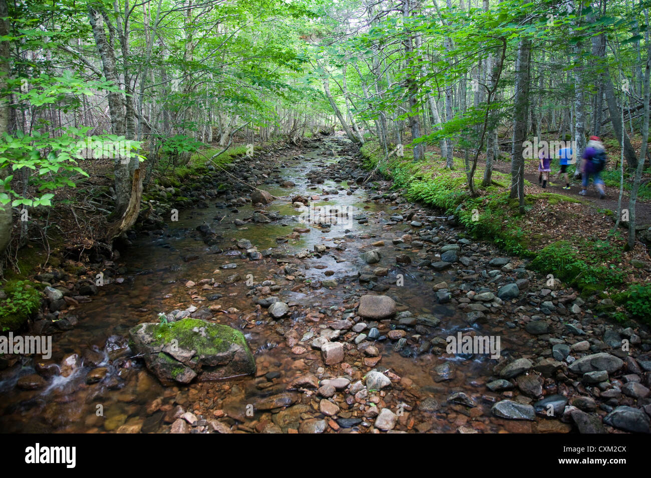 Mackenzie river canada hi-res stock photography and images - Alamy
