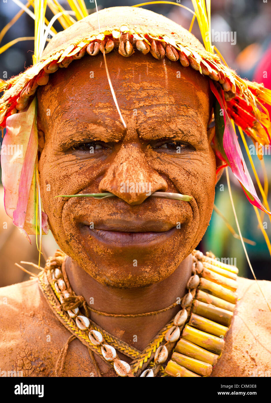 Portrait of a man wearing traditional tribal costume at the singsing ...