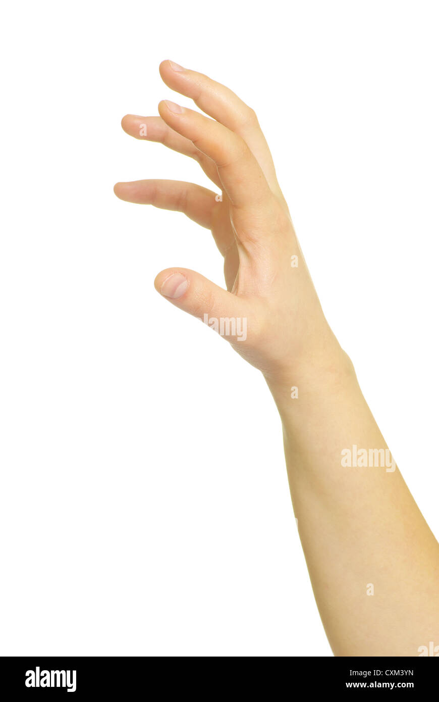hand isolated on a white Stock Photo - Alamy