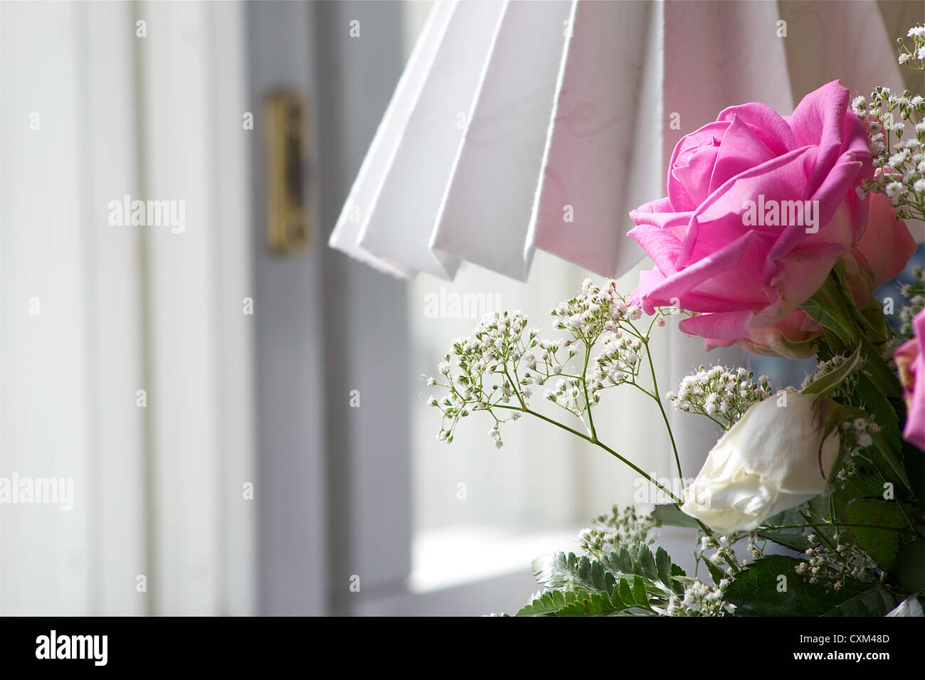 Beautiful lonely pink rose in front of the window Stock Photo - Alamy