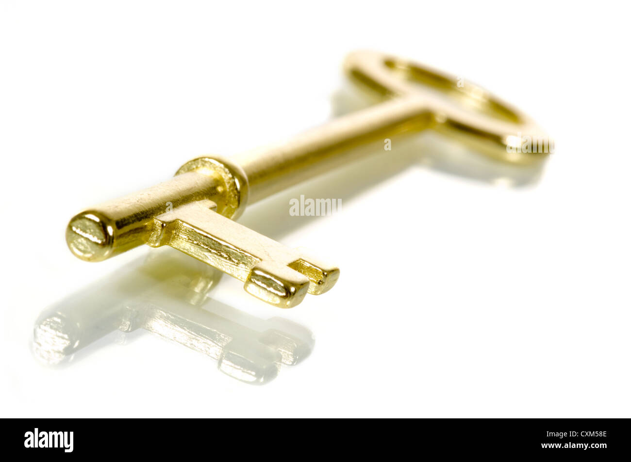 Brass skeleton key on white background with reflection - very narrow ...