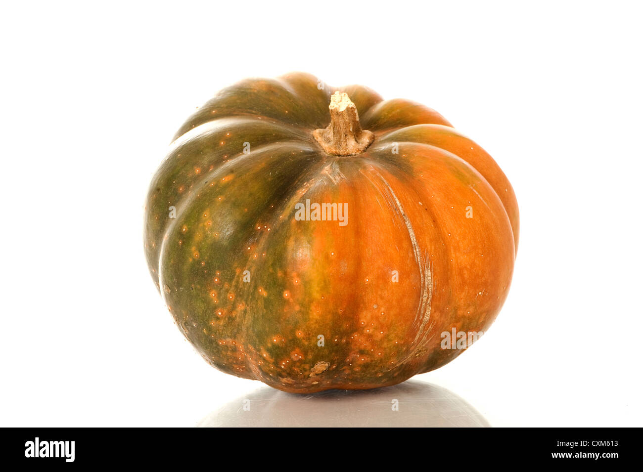 Muscat Squash High Resolution Stock Photography and Images - Alamy