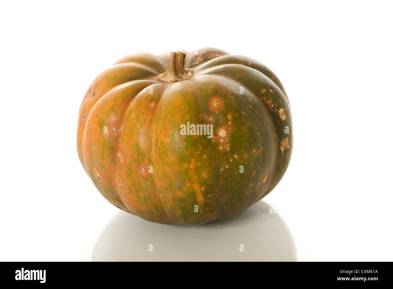 Muscat squash hi-res stock photography and images - Alamy