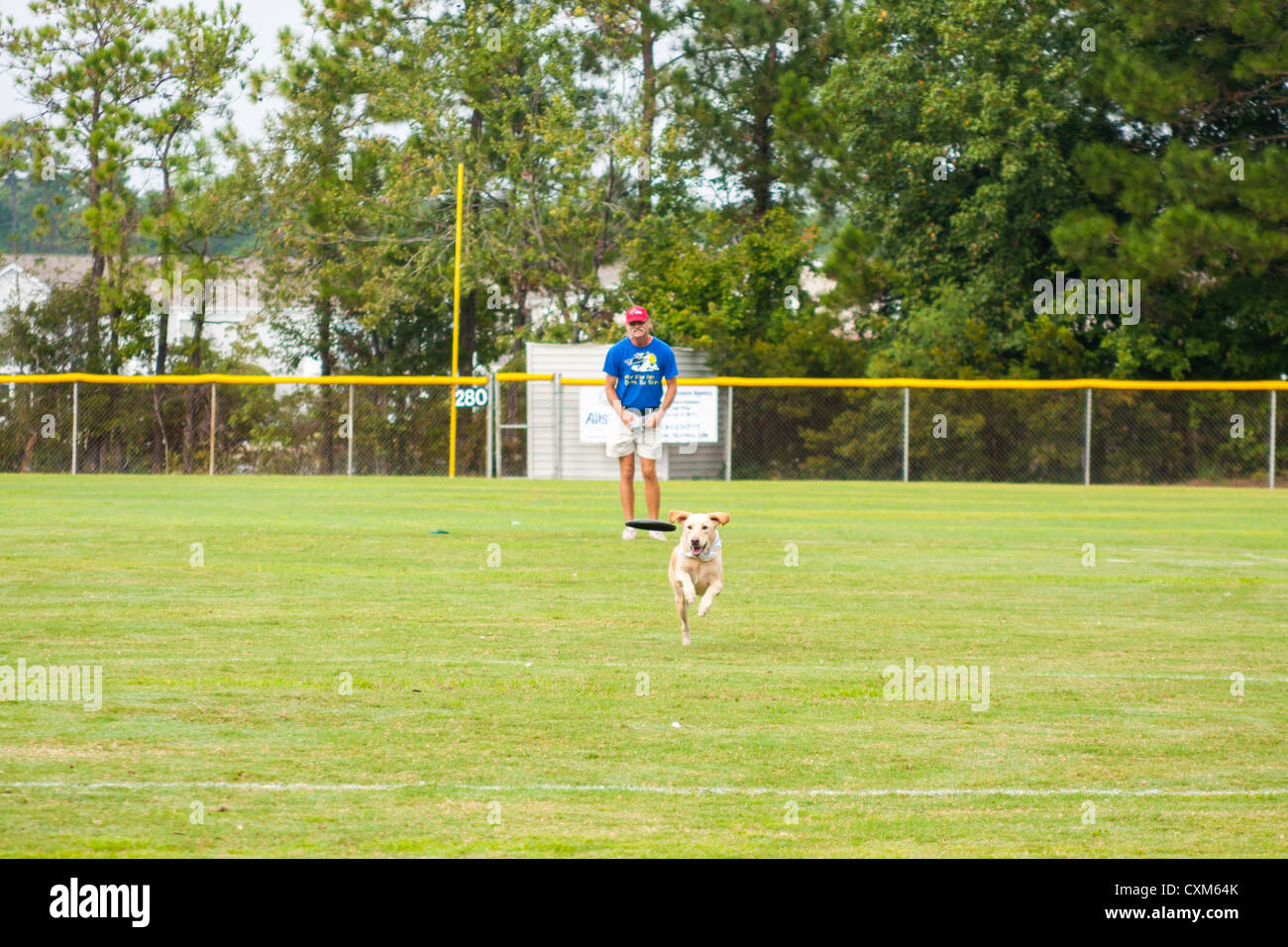 Dog Frisbee Jumping High Resolution Stock Photography and Images - Alamy