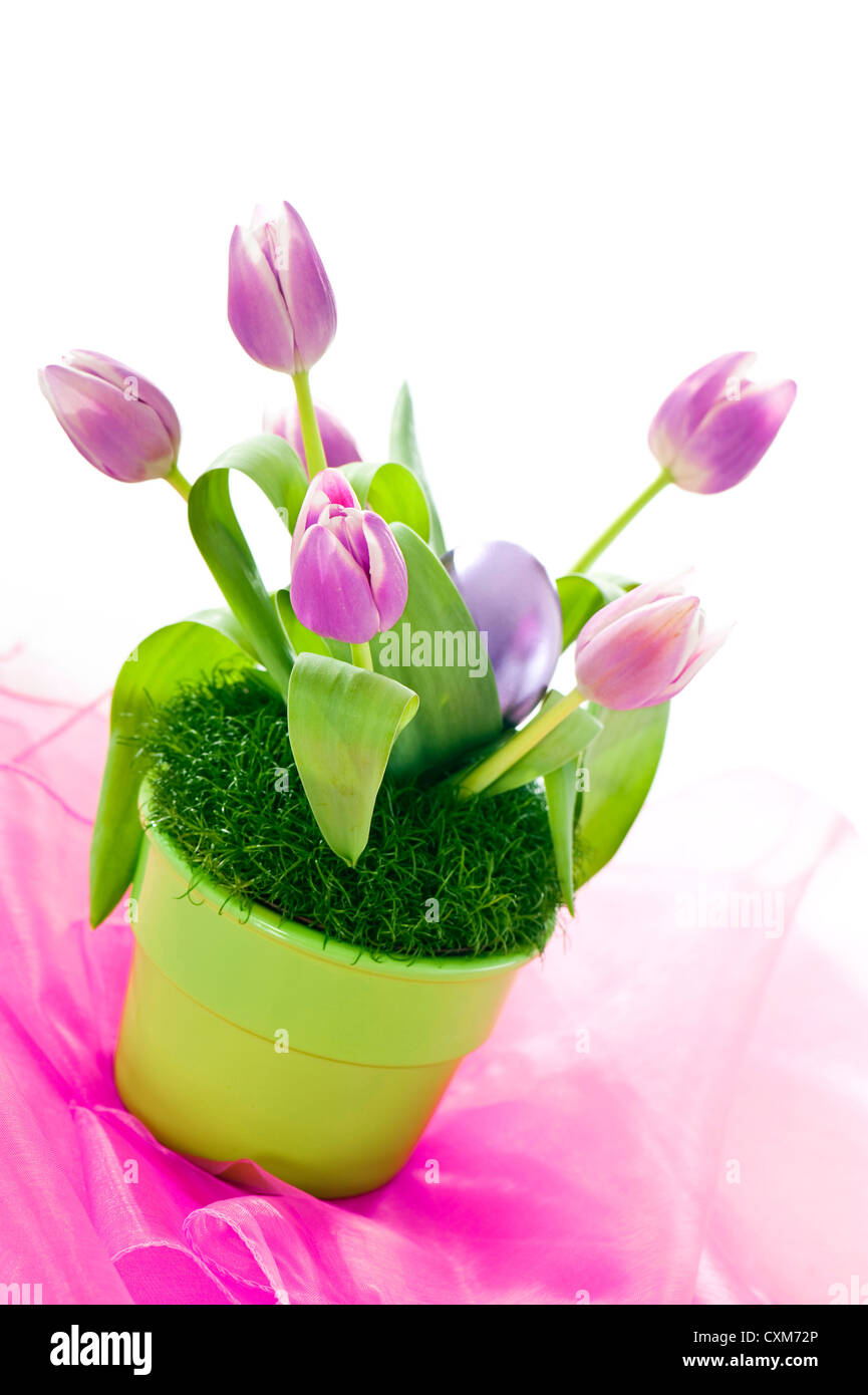 Square pot flower arrangement hi-res stock photography and images - Alamy