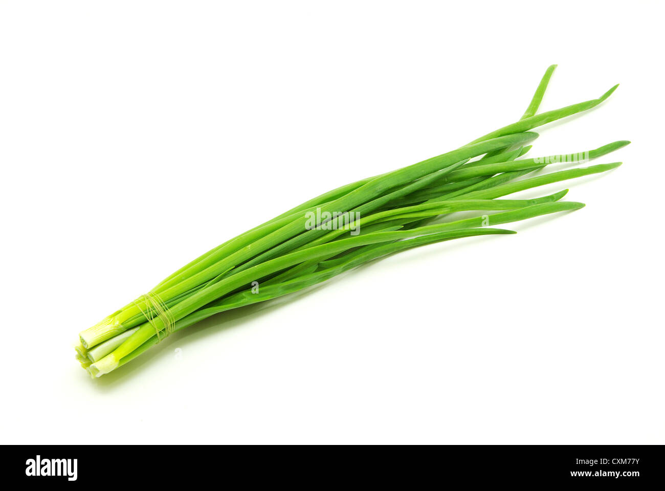 Some spring onion isolated on the white background Stock Photo - Alamy