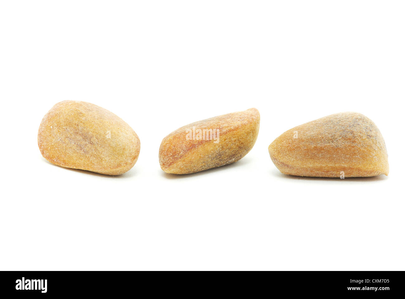 Cedar fruit hi-res stock photography and images - Alamy