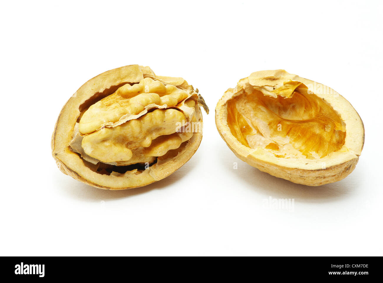 Walnuts fresh a hi-res stock photography and images - Alamy