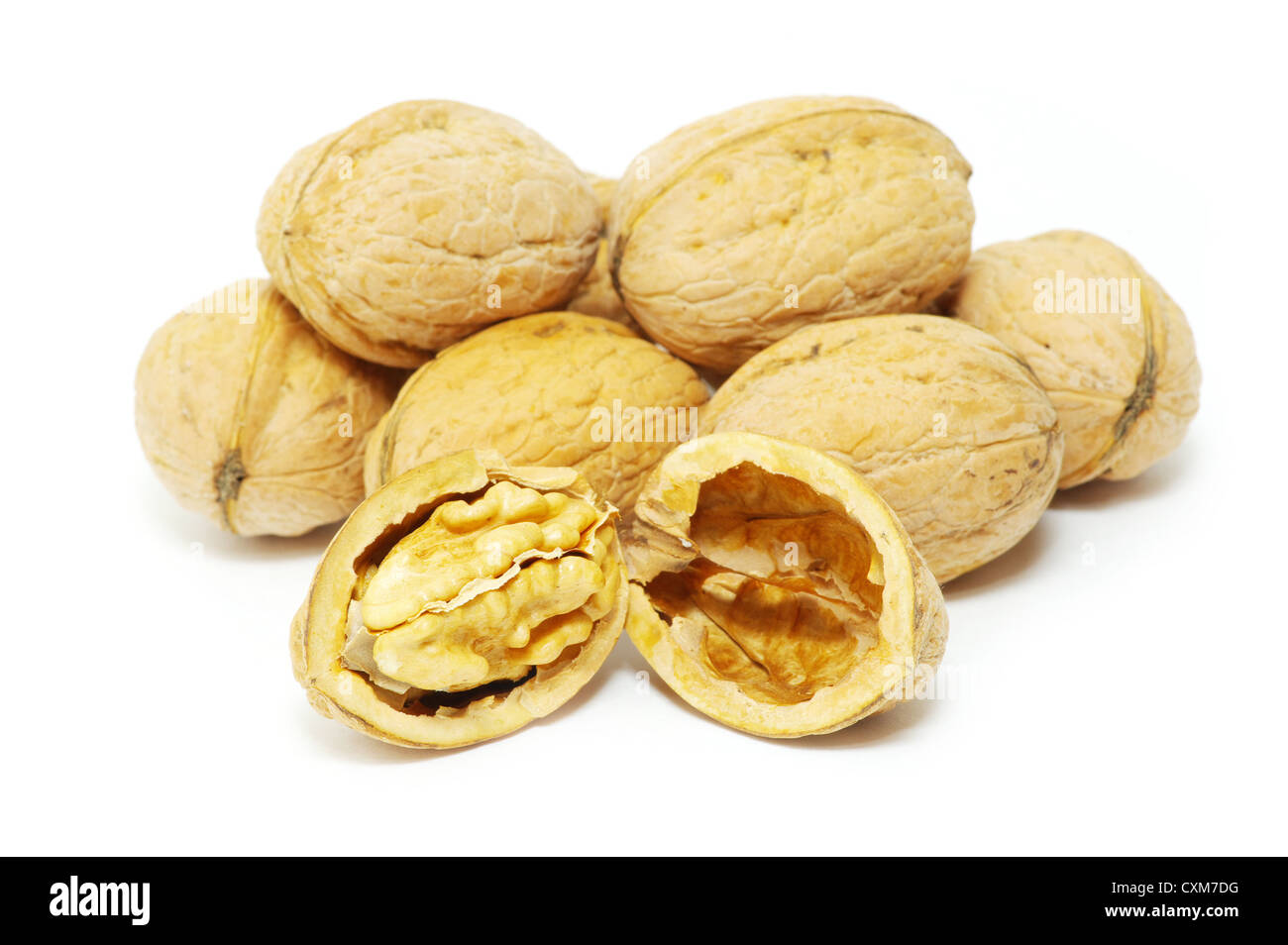 Walnuts fresh a hi-res stock photography and images - Alamy