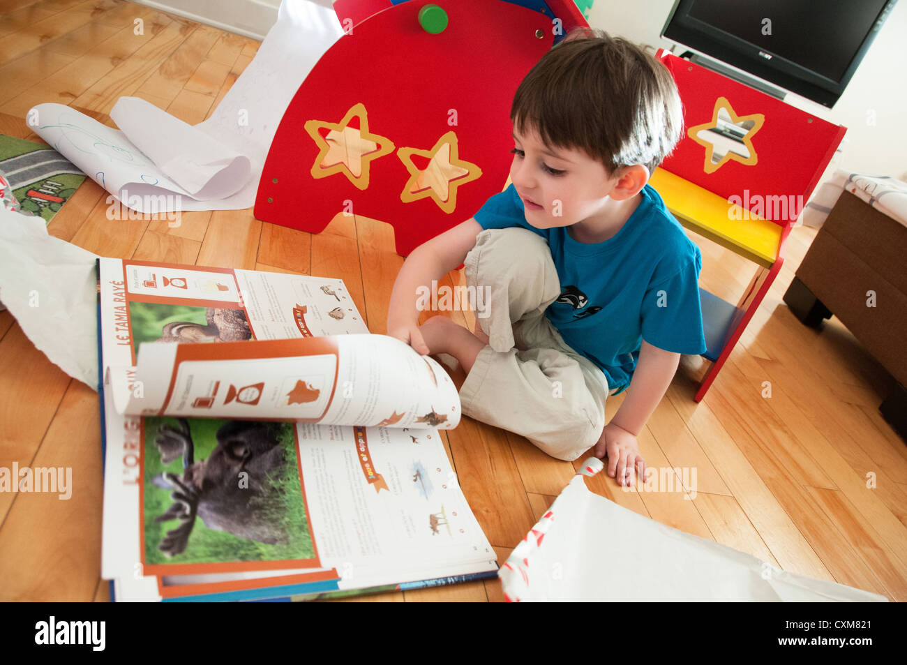 Child discovering new book -Model released Stock Photo - Alamy