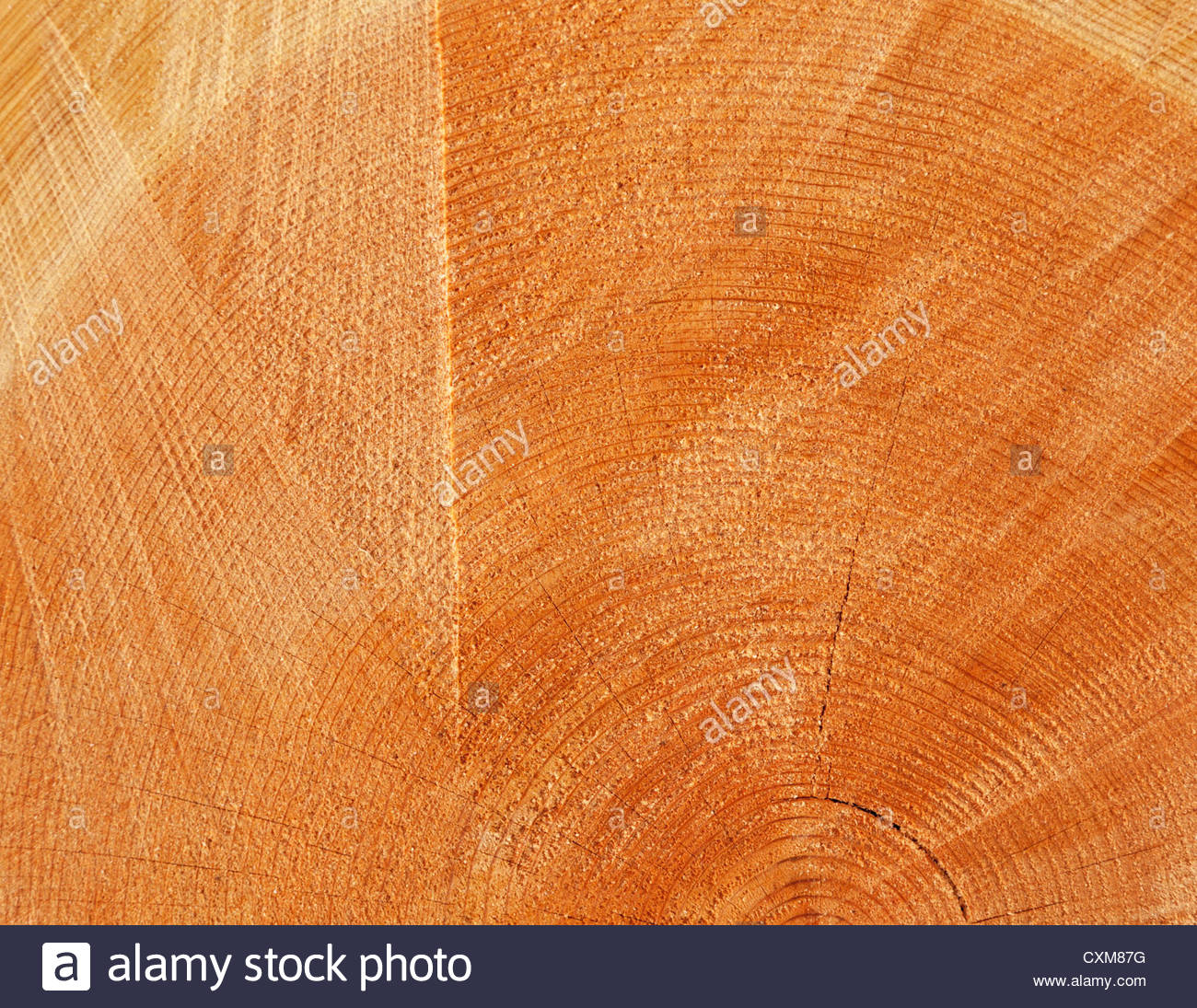 Sawn Texture High Resolution Stock Photography and Images - Alamy