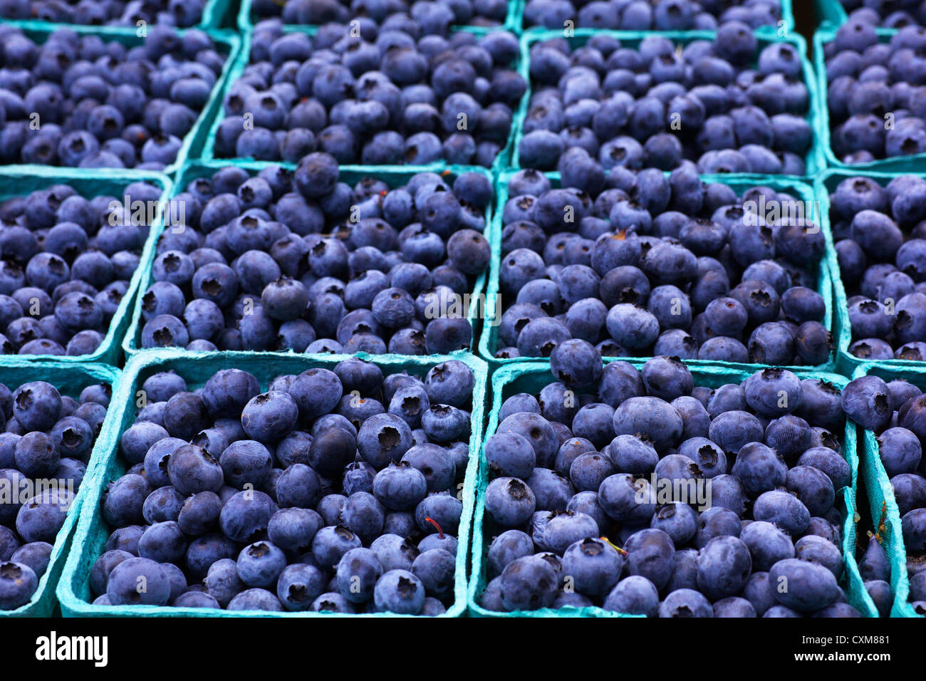 Many boxes of blueberries with soft background at the Farmers Market ...