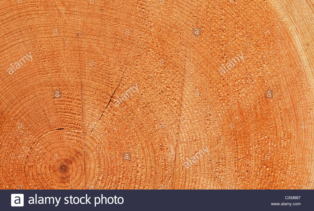 Sawn Texture High Resolution Stock Photography and Images - Alamy