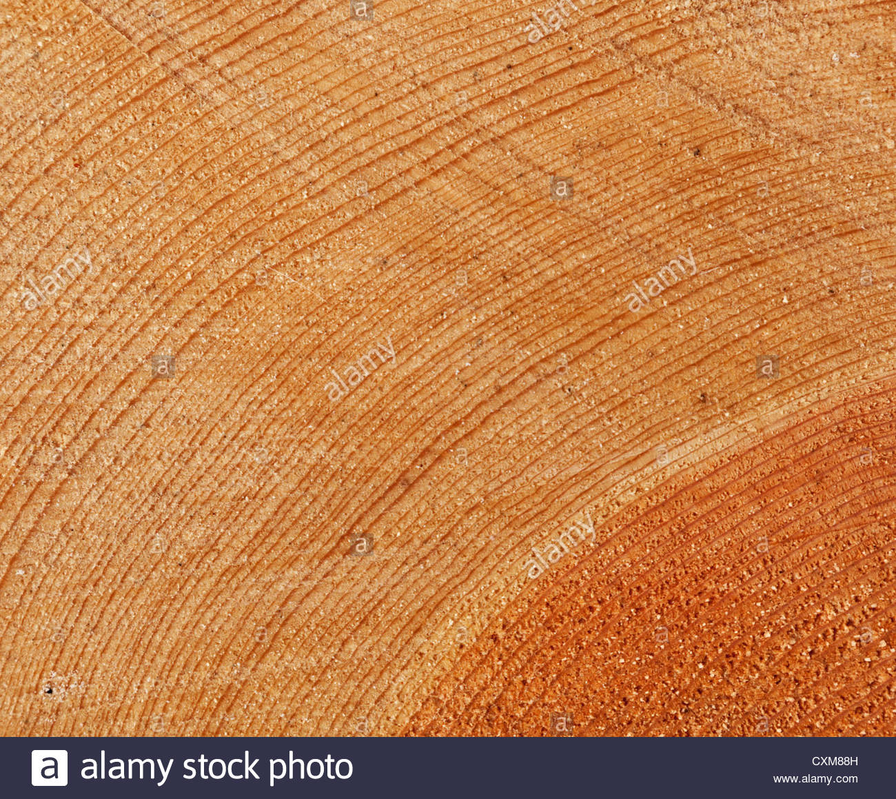Sawn Texture High Resolution Stock Photography and Images - Alamy