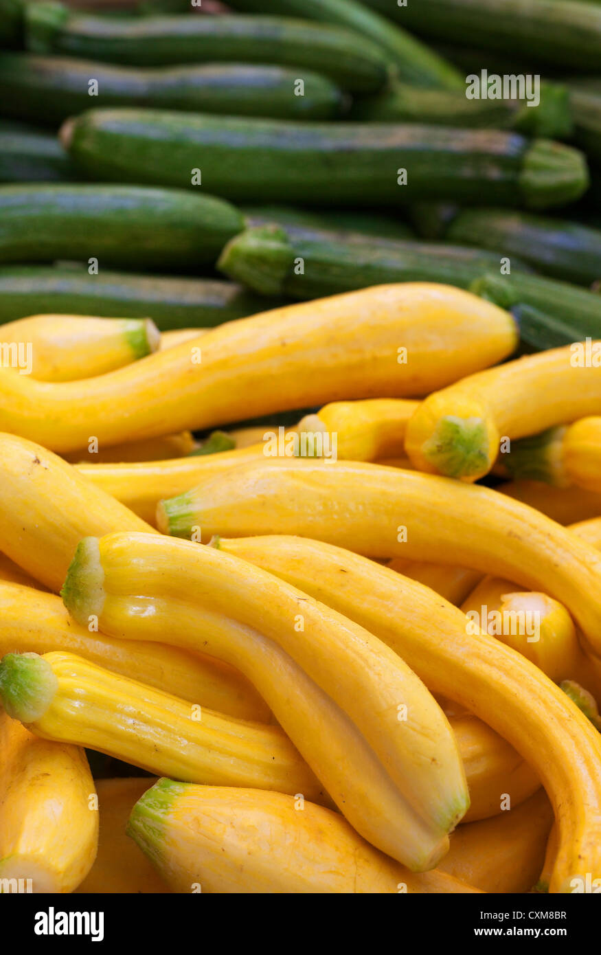 Pile of zucchini hi-res stock photography and images - Alamy