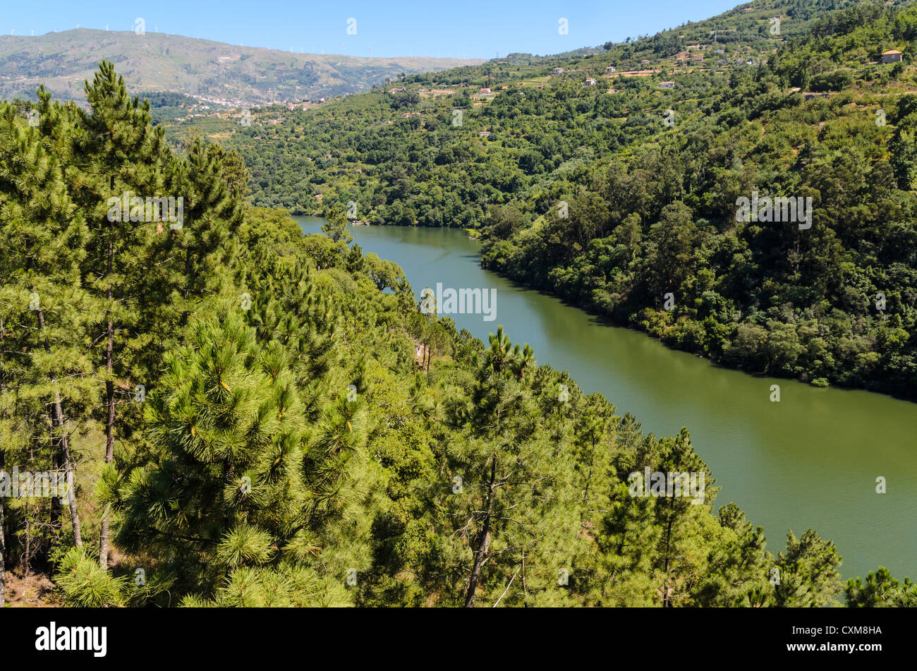 Forests on the banks of Douro river near Resende, Portugal Stock Photo ...