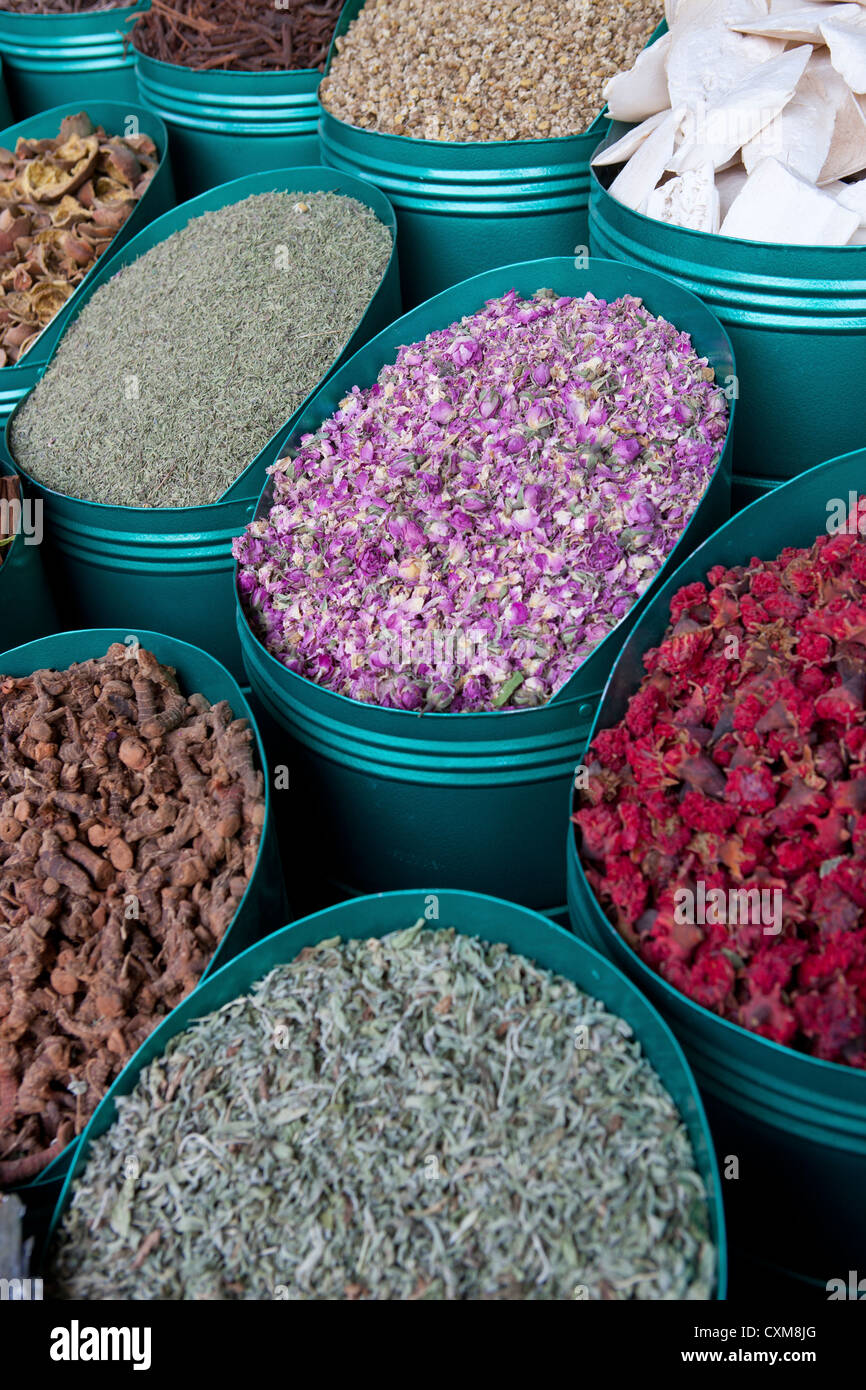 Medicinal roses hi-res stock photography and images - Alamy