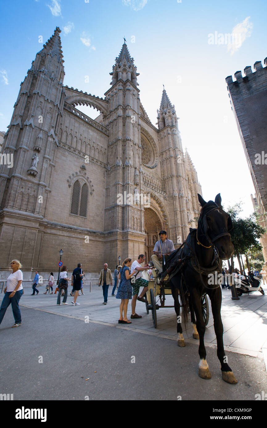 Palma Cathedral in the maincity of Mallorca Stock Photo - Alamy