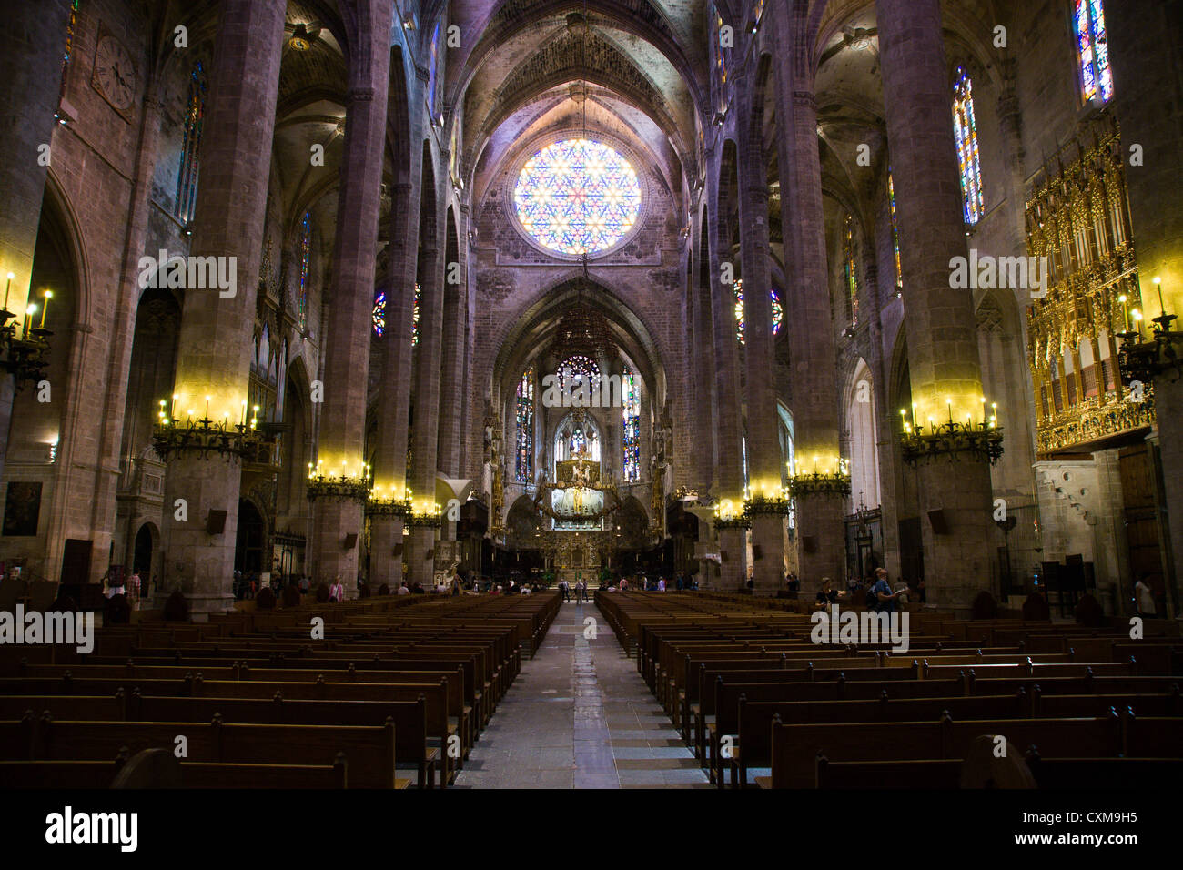 Palma Cathedral in the maincity of Mallorca Stock Photo - Alamy