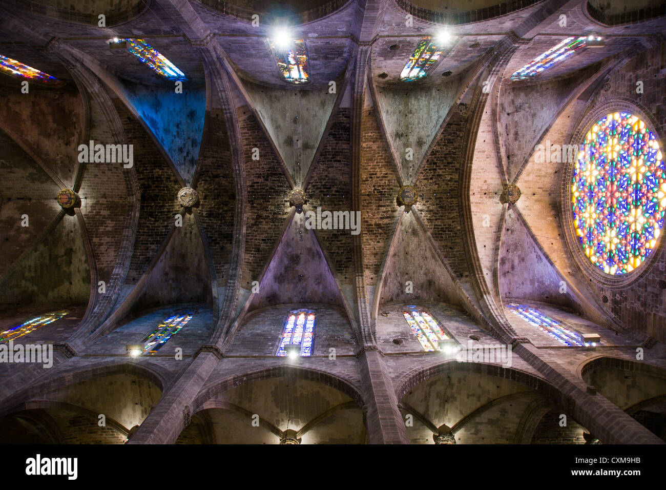 Palma Cathedral in the maincity of Mallorca Stock Photo - Alamy