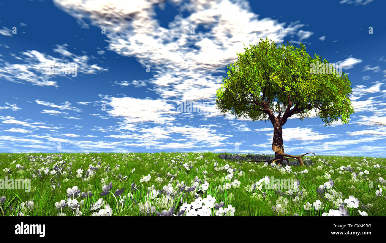 a green tree in a field Stock Photo - Alamy
