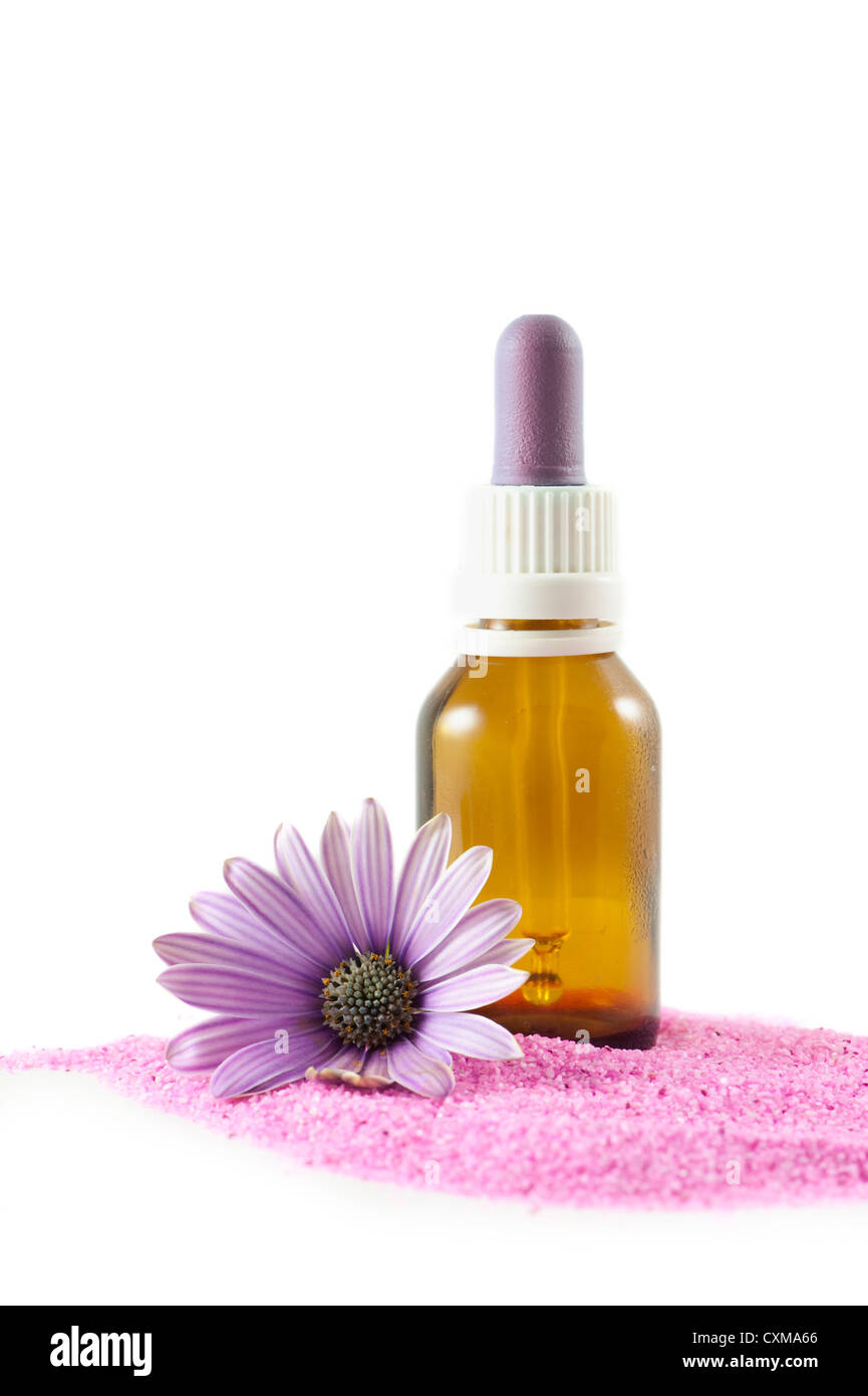 Recreation reflex Cut Out Stock Images & Pictures - Alamy