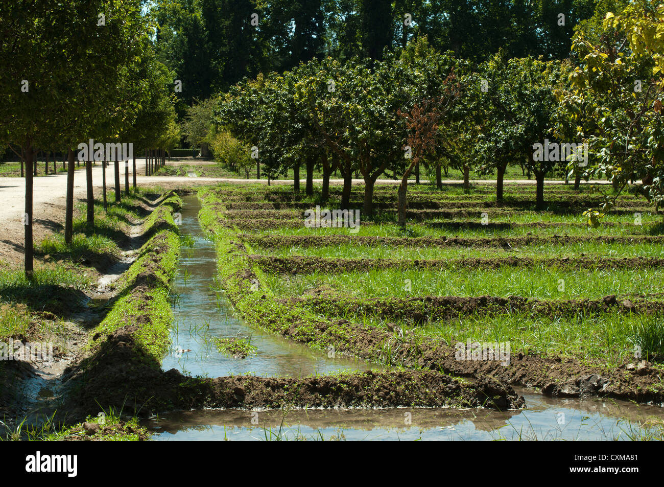 Water channels irrigation hi-res stock photography and images - Alamy