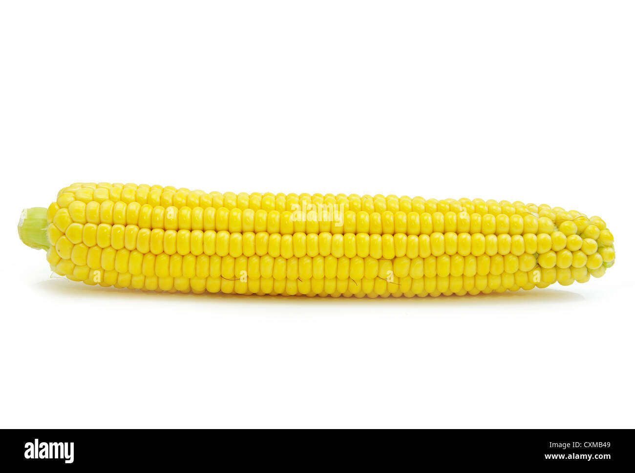 Sweet maize isolated on white background Stock Photo - Alamy