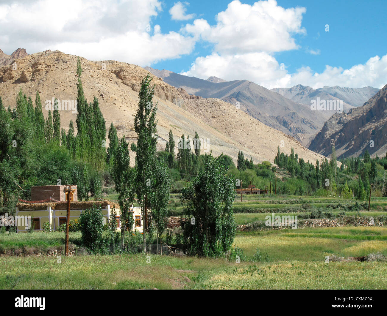 Saspol ladakh hi-res stock photography and images - Alamy