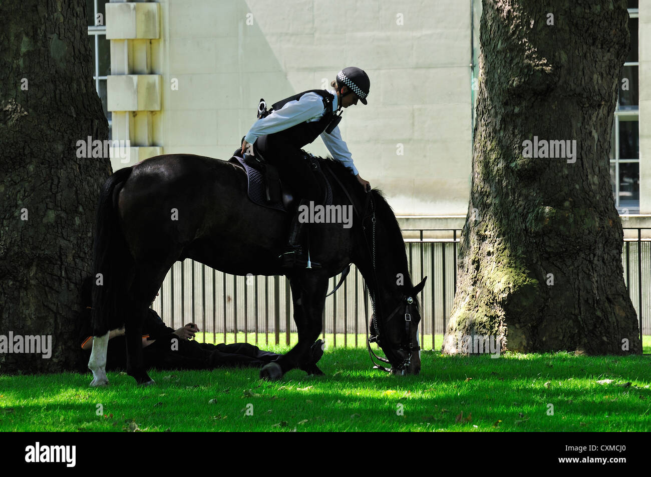 London, England, UK. Mounted Policewoman on horse Stock Photo - Alamy