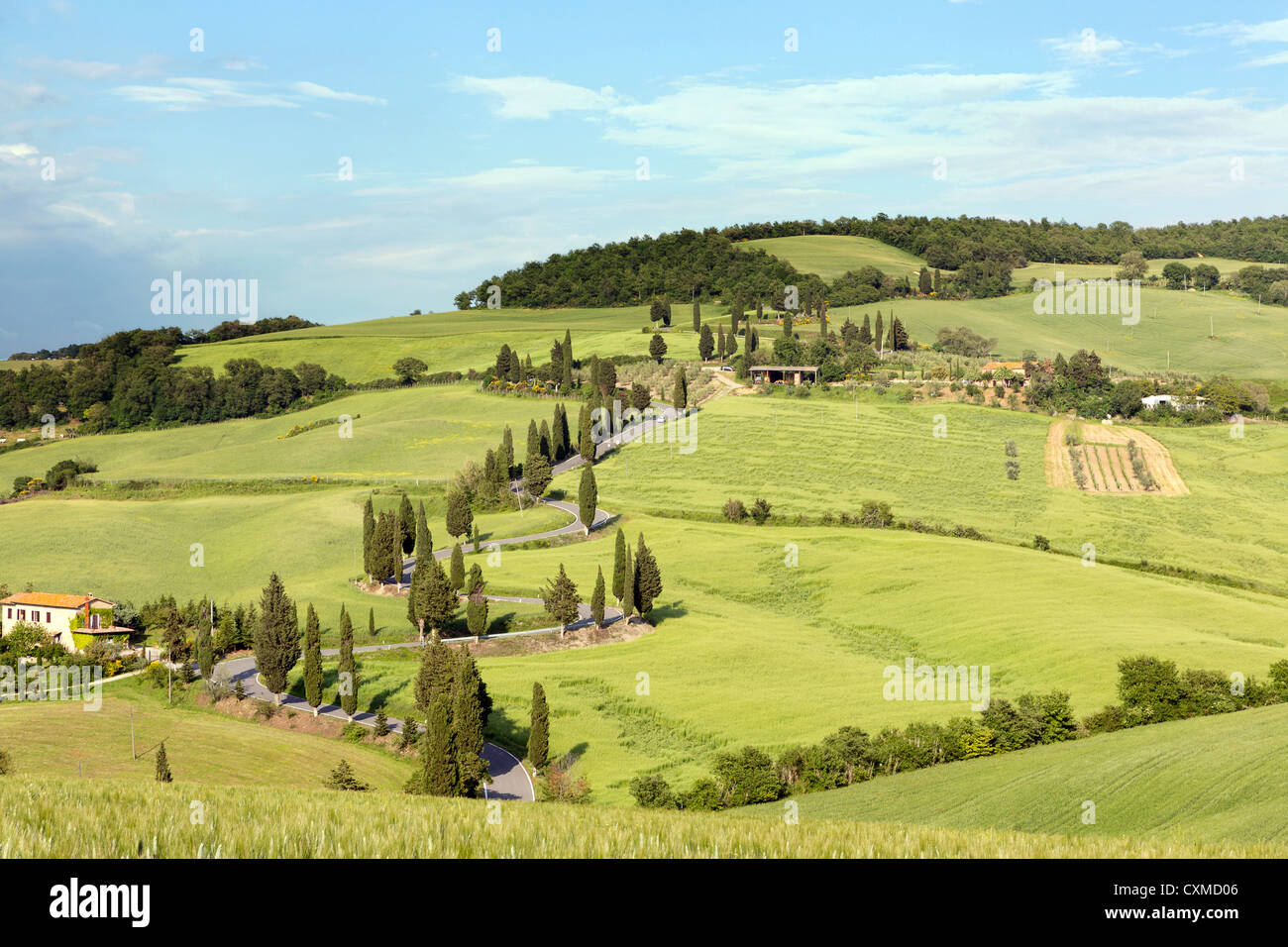 Rolling hills and winding road in Tuscany near Monticchiello Stock ...