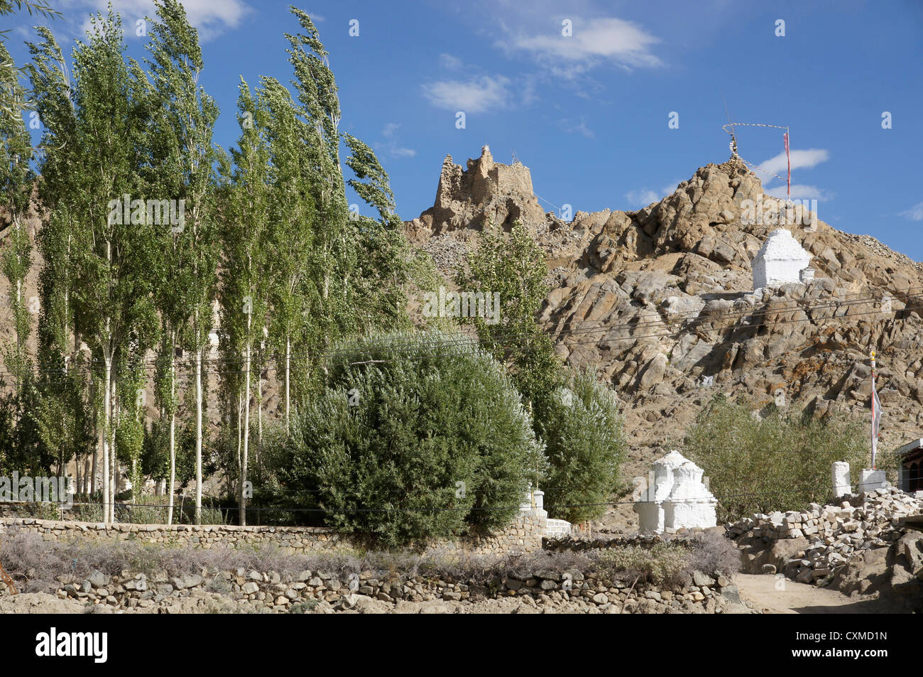 Saboo ladakh hi-res stock photography and images - Alamy