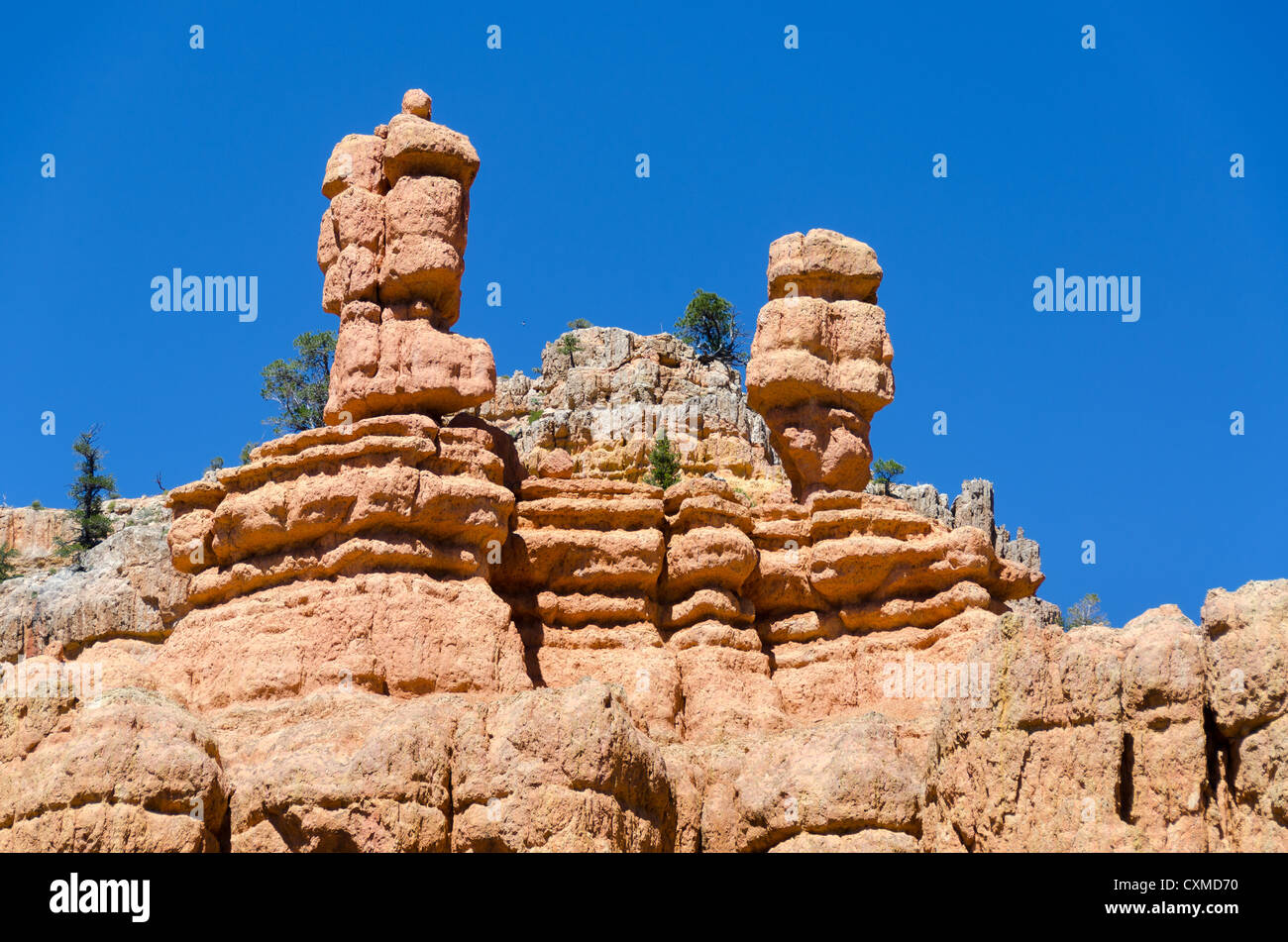 Red Canyon National Park in Utah in the United States of America Stock ...