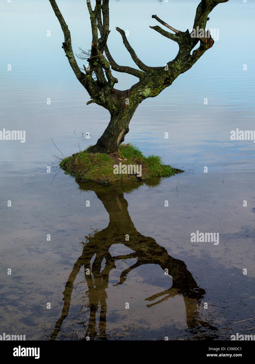 Kenfig pool hi-res stock photography and images - Alamy