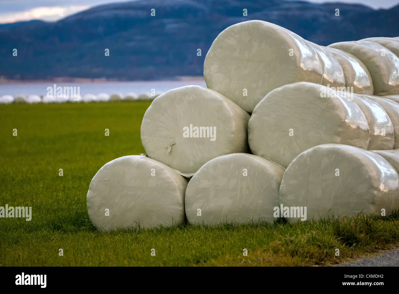 Bales straw field hi-res stock photography and images - Alamy
