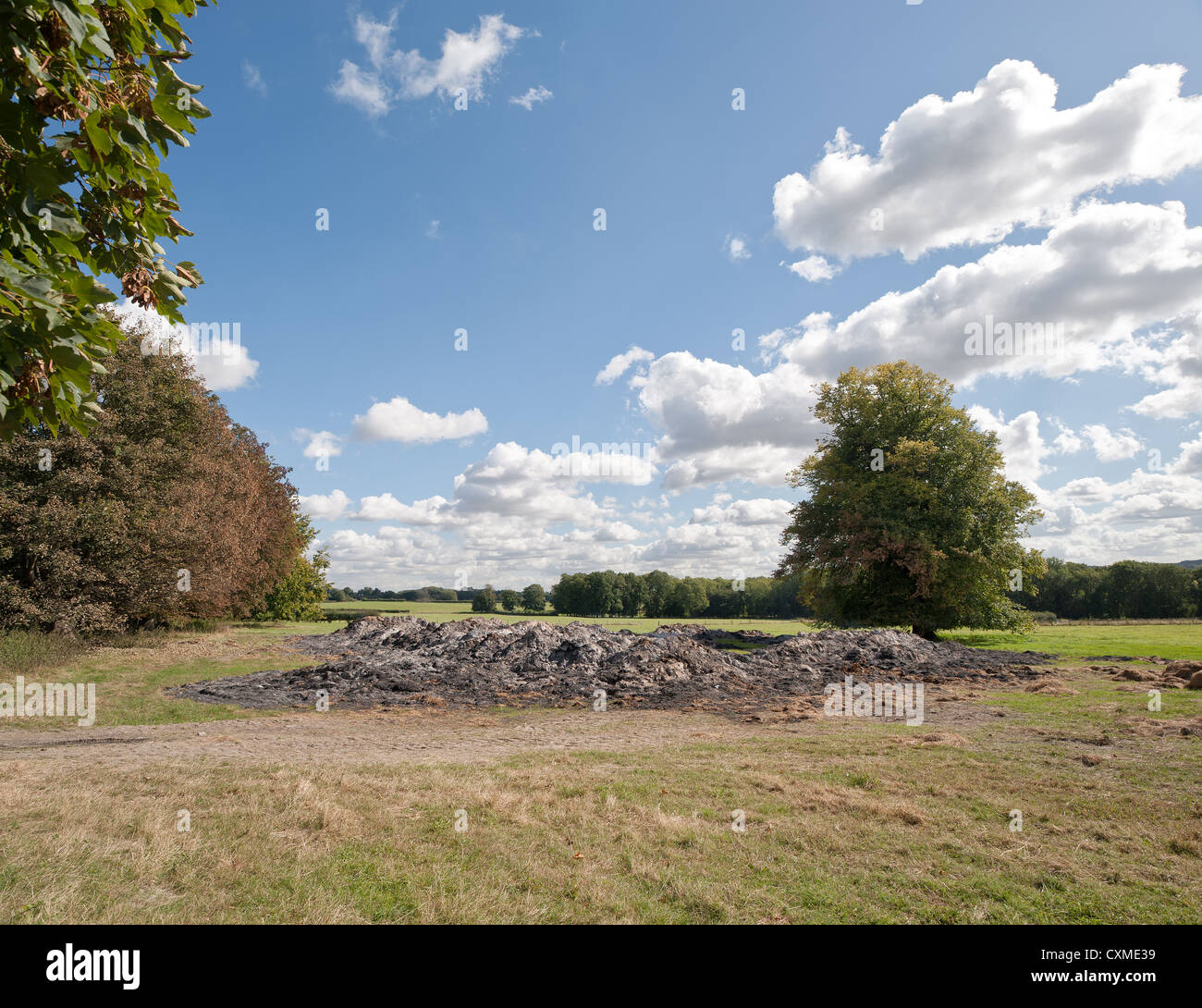 smoldering remains of ash burnt straw from over fire 500 hay bales ...