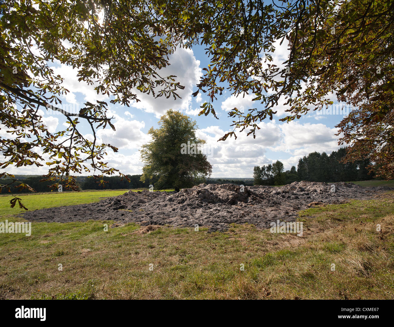 smoldering remains of ash burnt straw from over fire 500 hay bales ...