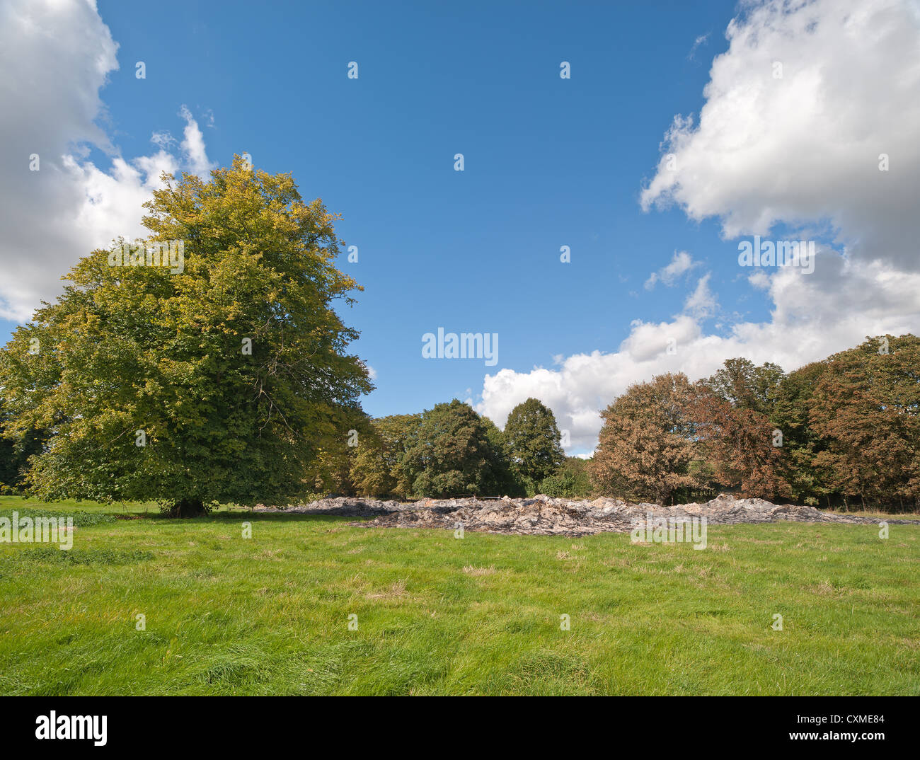 smoldering remains of ash burnt straw from over fire 500 hay bales ...