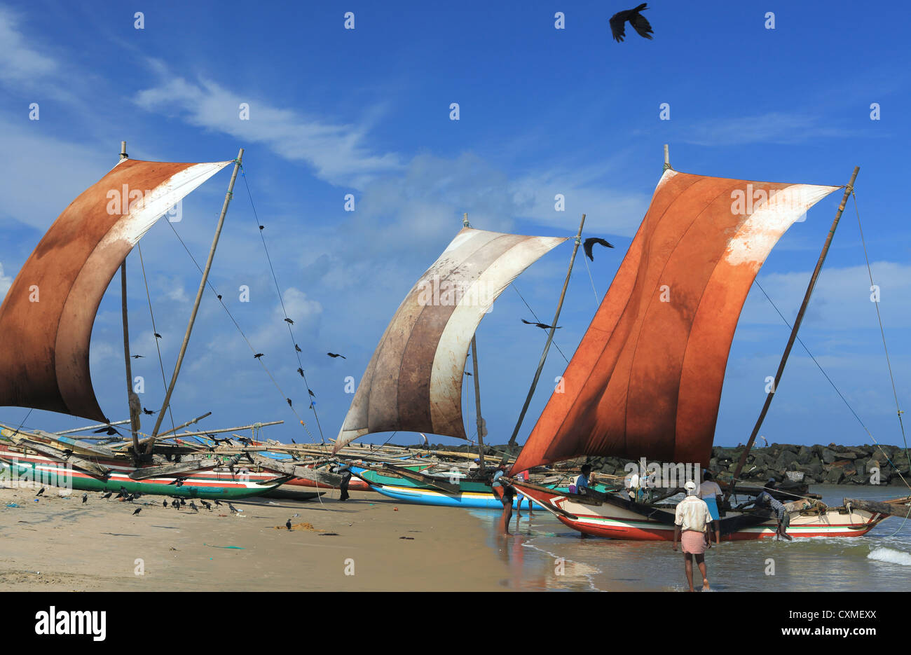 Traditional fishing boat with wooden outriggers hi-res stock ...