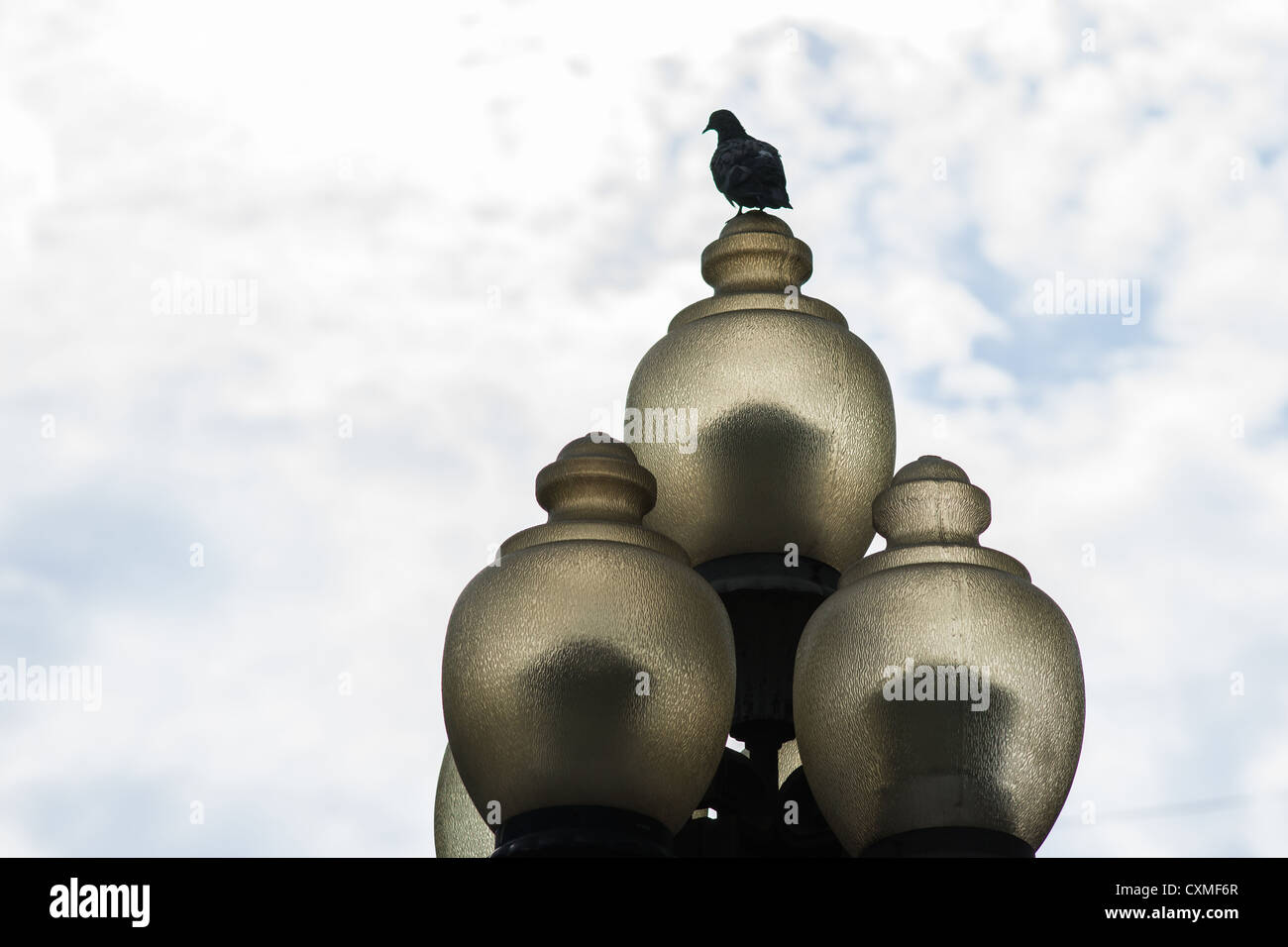 A dark dove on top of a street lamp against cloudy sky Stock Photo - Alamy