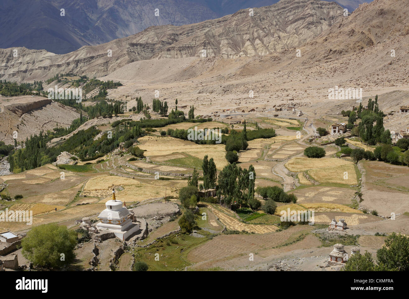 Chorten near Likir monastery, Jammu and Kashmir, India Stock Photo - Alamy