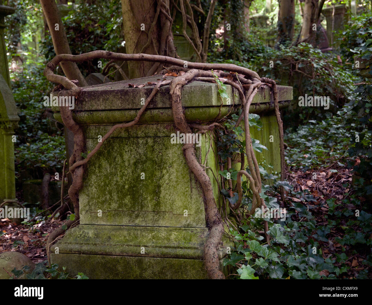 Highgate Cemetery West in London Stock Photo - Alamy