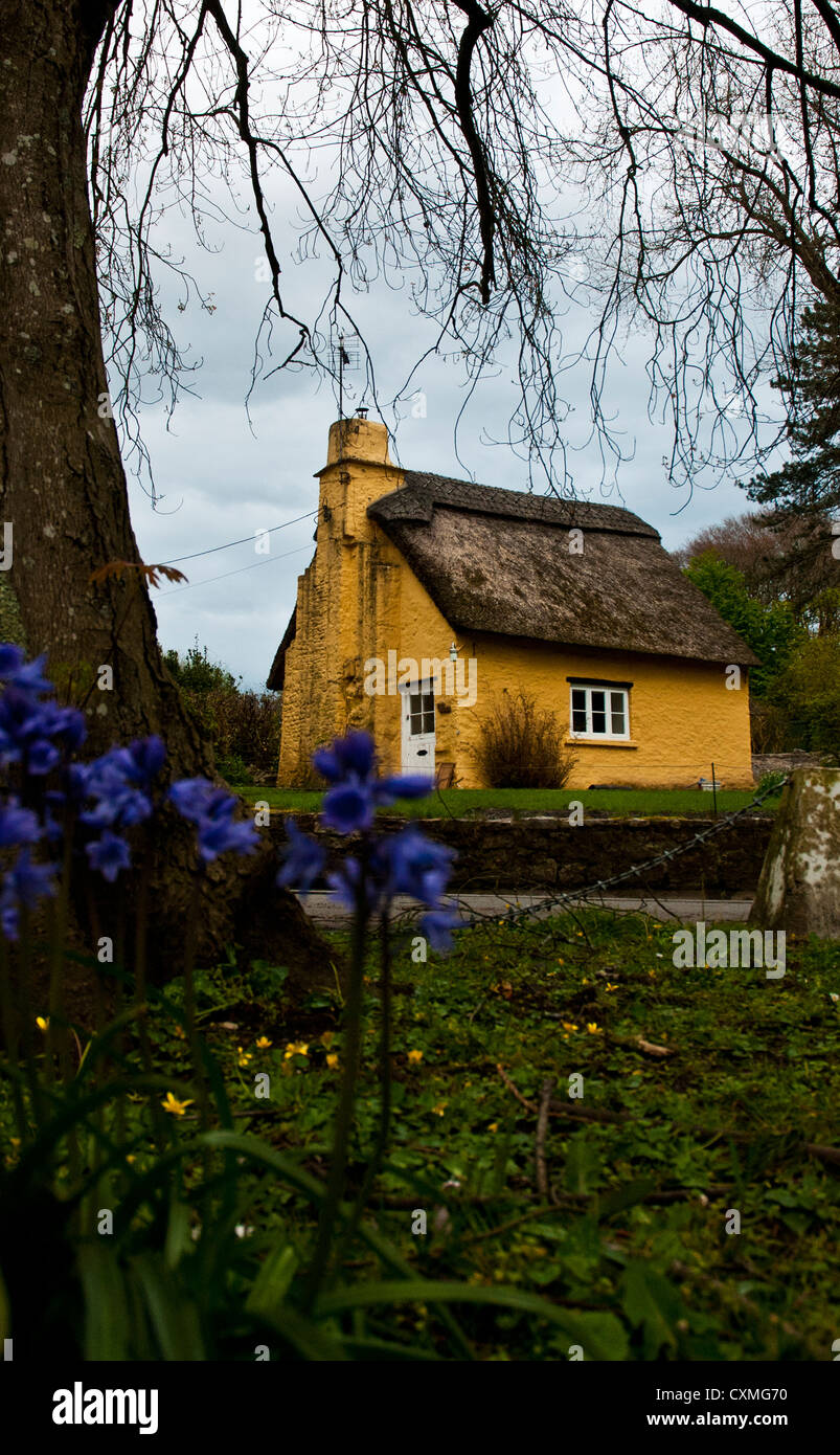 Detached country cottage hi-res stock photography and images - Alamy