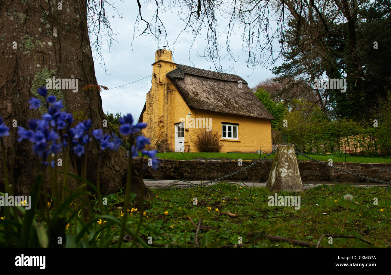 Yellow Thatched Cottage in the countryside Stock Photo - Alamy