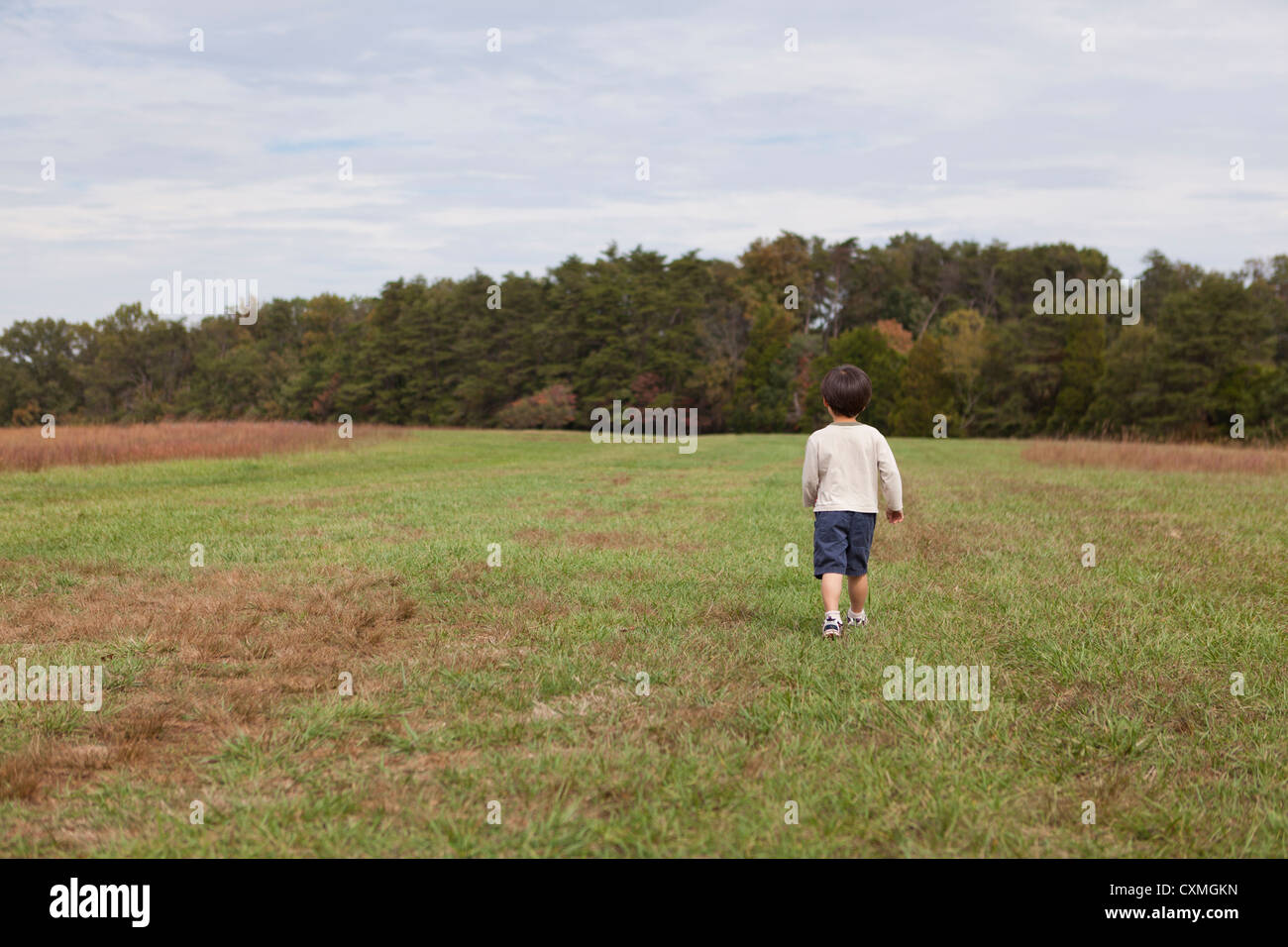 Open field hi-res stock photography and images - Alamy