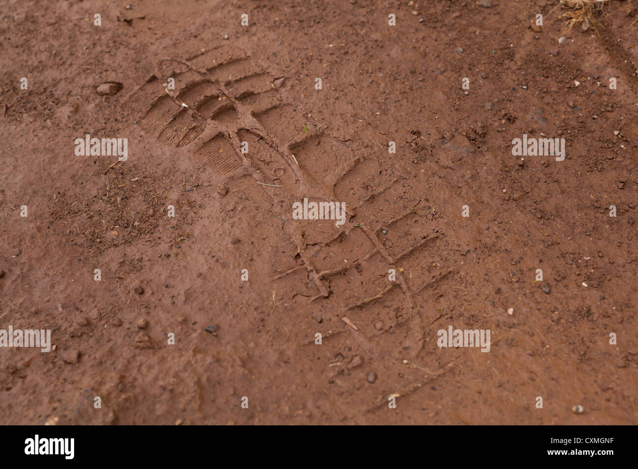 Shoe Print Mud High Resolution Stock Photography and Images - Alamy
