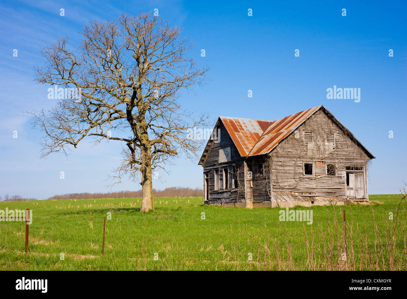 A dilapidated wooden farmhouse with a dead tree, green grass, wire fence and blue sky Stock ...