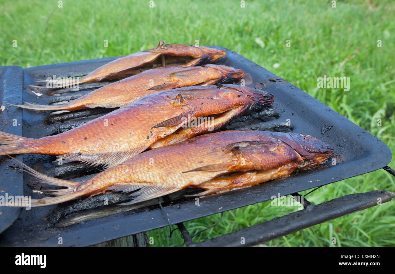 Just smoked fresh fish caught in Russian river Stock Photo - Alamy