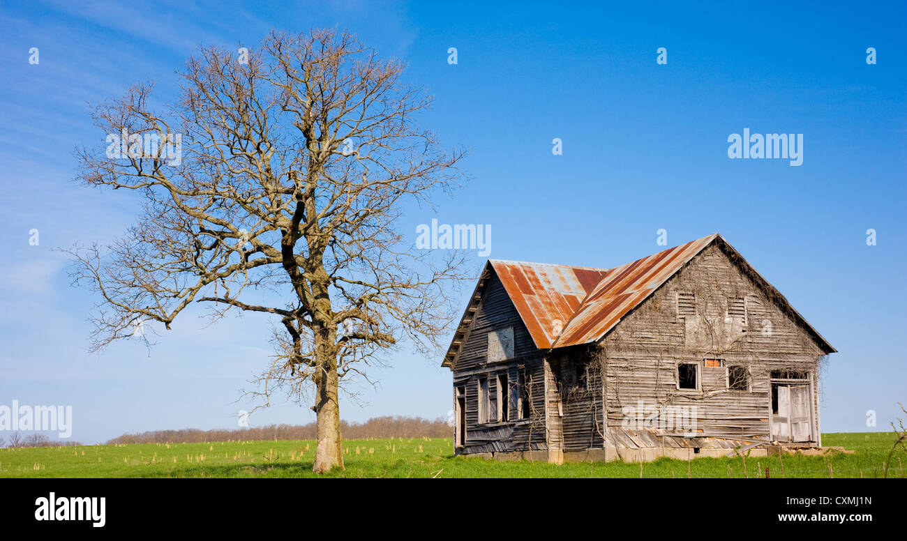 Old dilapidated farmhouse next to a dead tree with a sky blue ...